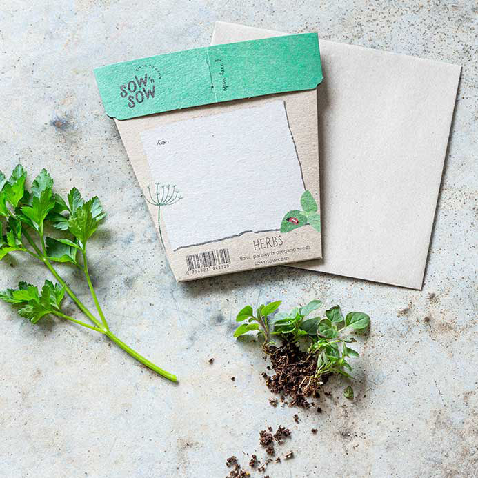 Sow 'n Sow Gift of Seeds Garden Herbs – The Living Co.
