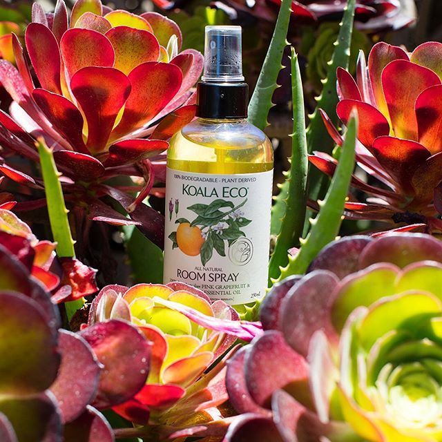 Koala Eco Room Spray – The Living Co.